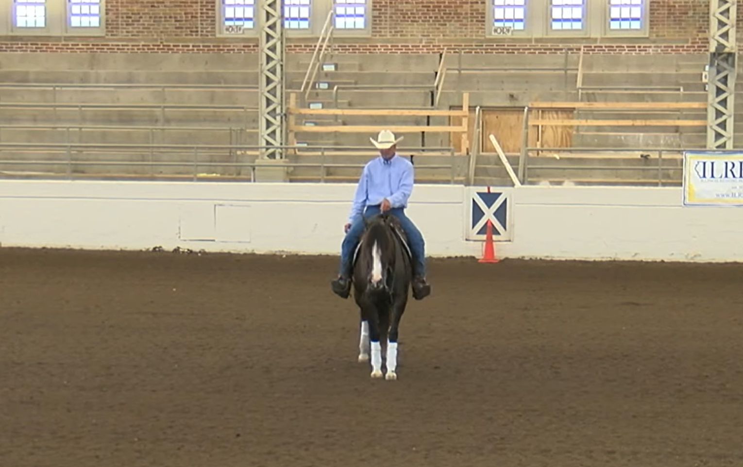 ILRHA State Fair Show | July 20th, 2023 - Total Horse Channel ...