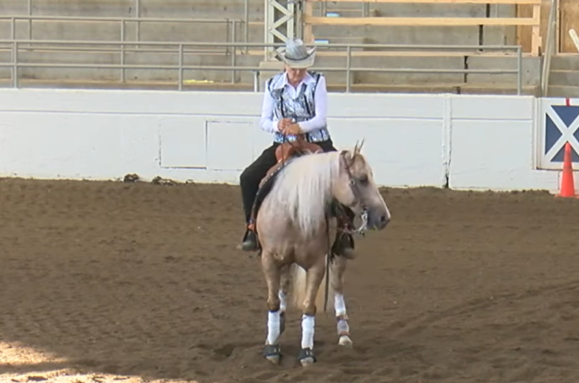 ILRHA State Fair Show | July 22nd, 2023 - Total Horse Channel ...