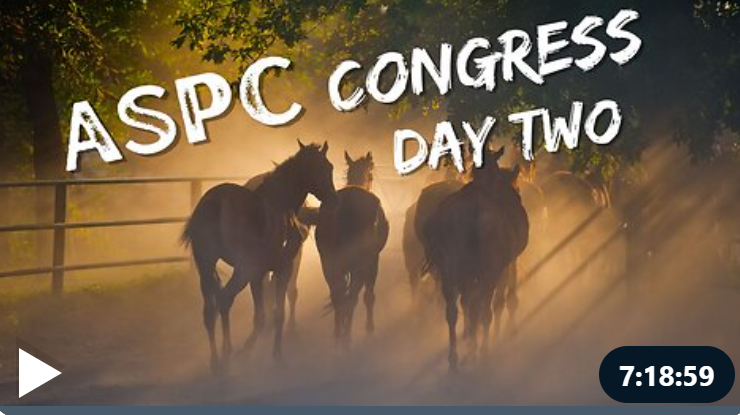 ASPC SHETLAND CONGRESS | July 25th, 2023 - Total Horse Channel ...