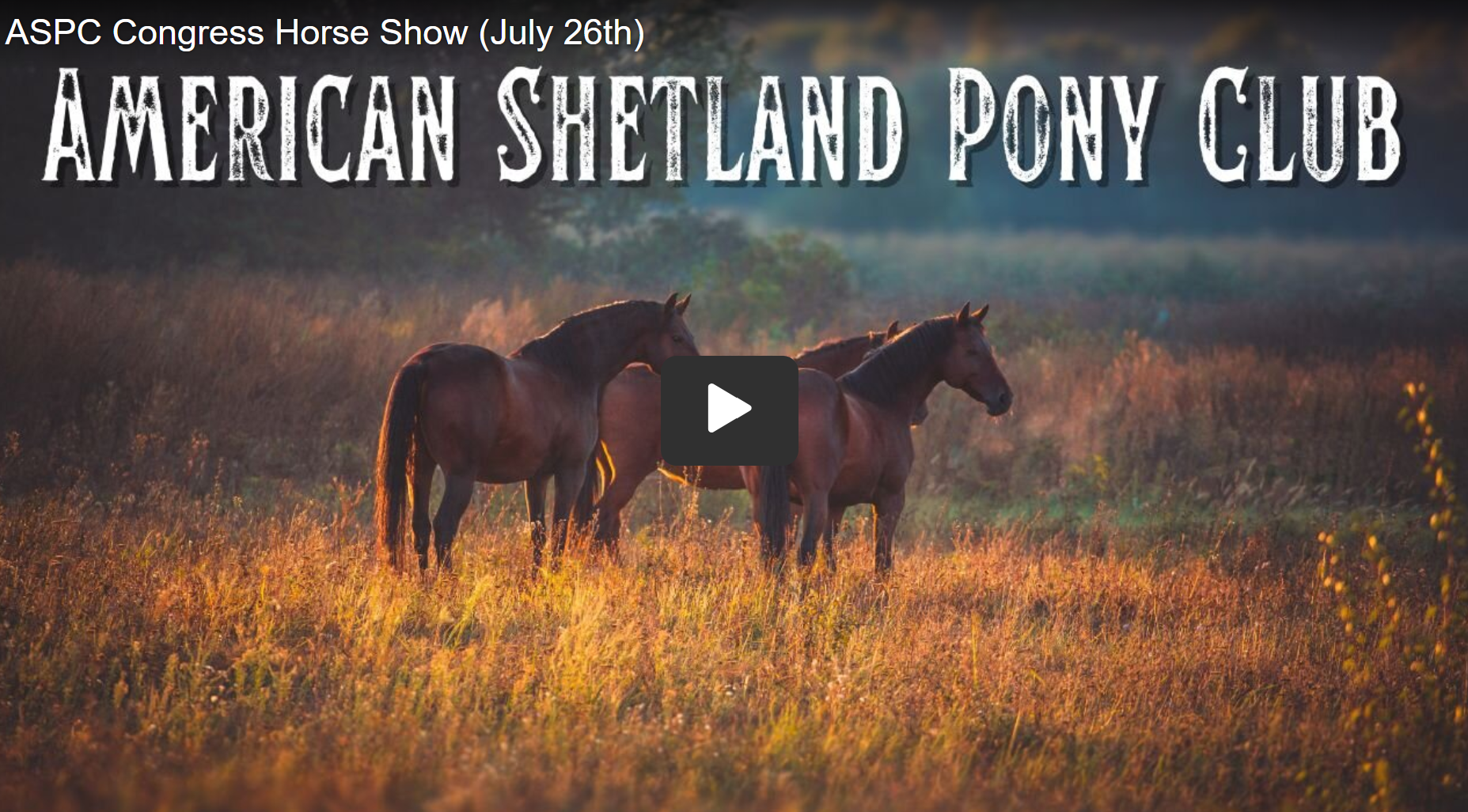 ASPC SHETLAND CONGRESS | July 26th, 2023 - Total Horse Channel ...