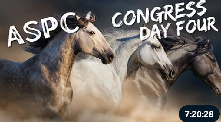 ASPC SHETLAND CONGRESS | July 27th, 2023 - Total Horse Channel ...