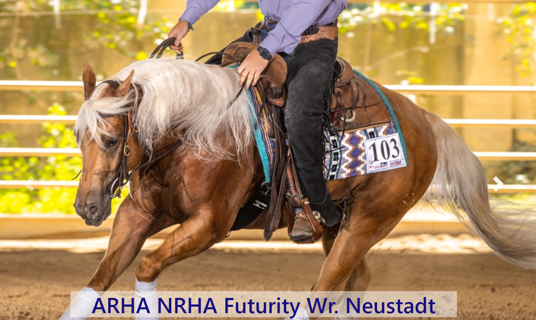 AUSTRIAN REINING FUTURITY | August 16th, 2023 - Total Horse Channel ...