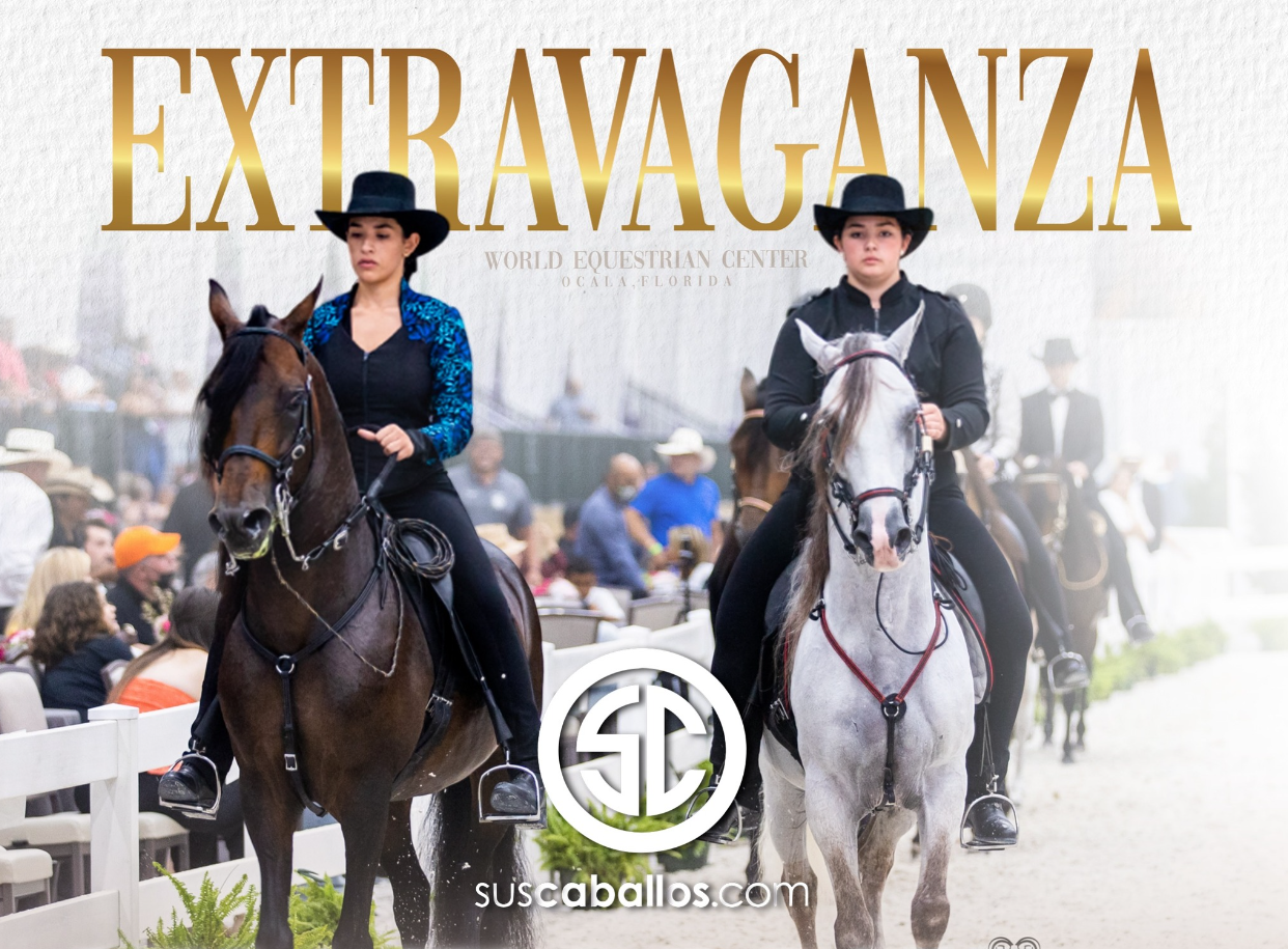 2024 EXTRAVAGANZA | DIA 3 | Ocala, Florida - Total Horse Channel ...