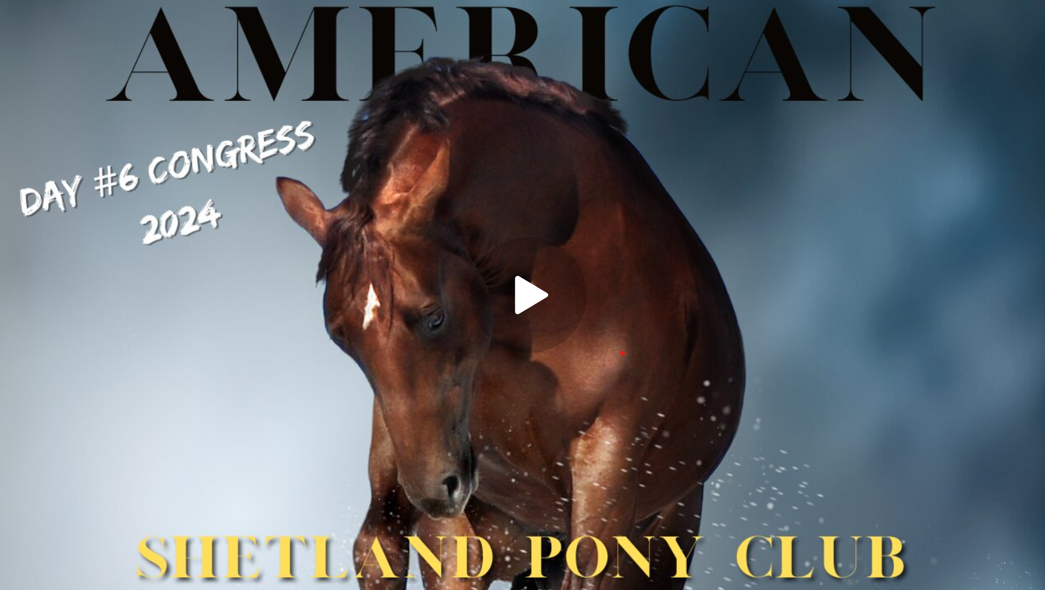 2024 American Shetland Pony Club (ASPC) Congress | Day 6 - Total Horse ...