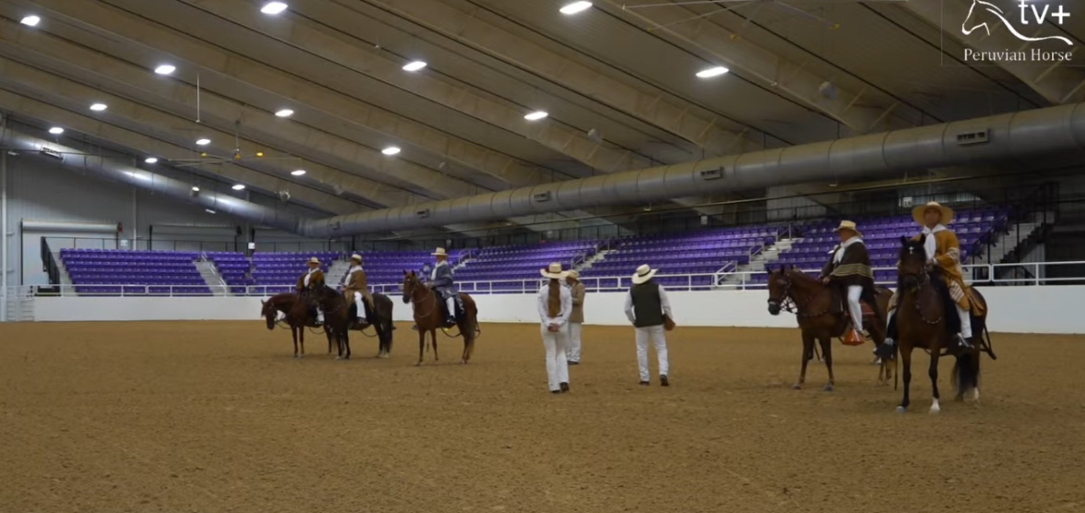 Peruvian Sunshine show Ocala 2025 – Afternoon - Total Horse Channel ...