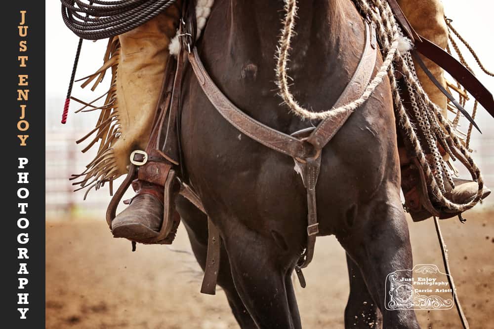 Equine Photographer Profiles | Just Enjoy Photography - Total Horse ...