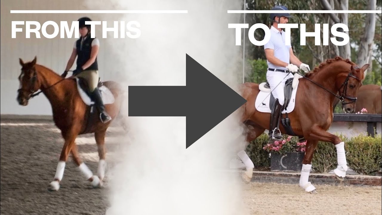A DIFFERENT WAY TO GET YOUR HORSE ON THE BIT! - Total Horse Channel ...