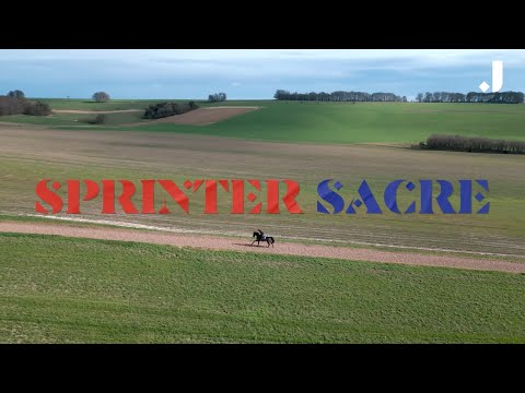 A RIDE WITH SPRINTER SACRE - Total Horse Channel | Equestrian TV