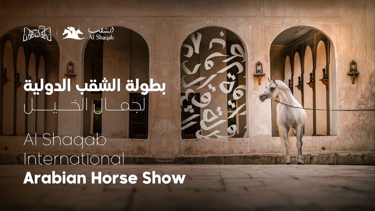 Al Shaqab International Arabian Horse Show – 8th November 2025 - Total ...