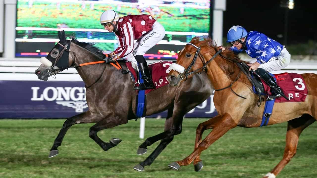 Race Horse Owner’s and Trainer’s Commercial General Liability - Total ...