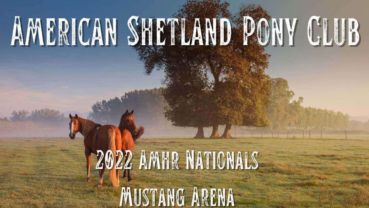 AMHR Nationals Ford Truck Arena | September 10th, 2022 - Total Horse ...