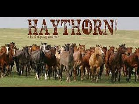 AWARD WINNING RANCHES • HAYTHORN • BOGLE LTD. • STUART RANCH - Total ...