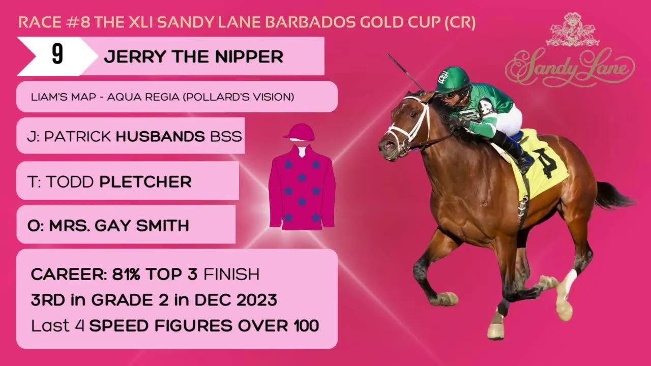Barbados Turf Club | March 1st, 2024 - Total Horse Channel | Equestrian TV