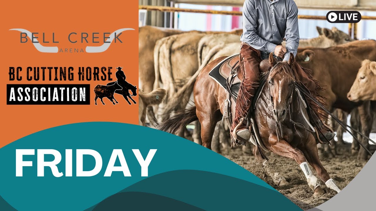 Bell Creek Arena BCCHA Show | Friday - Total Horse Channel | Equestrian TV
