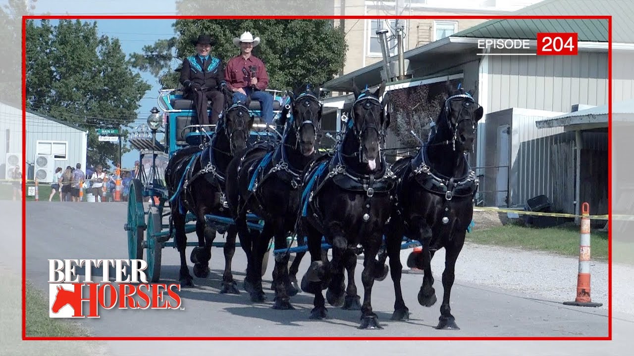 Better Horses Episode 204 | Missouri State Fair - Total Horse Channel ...