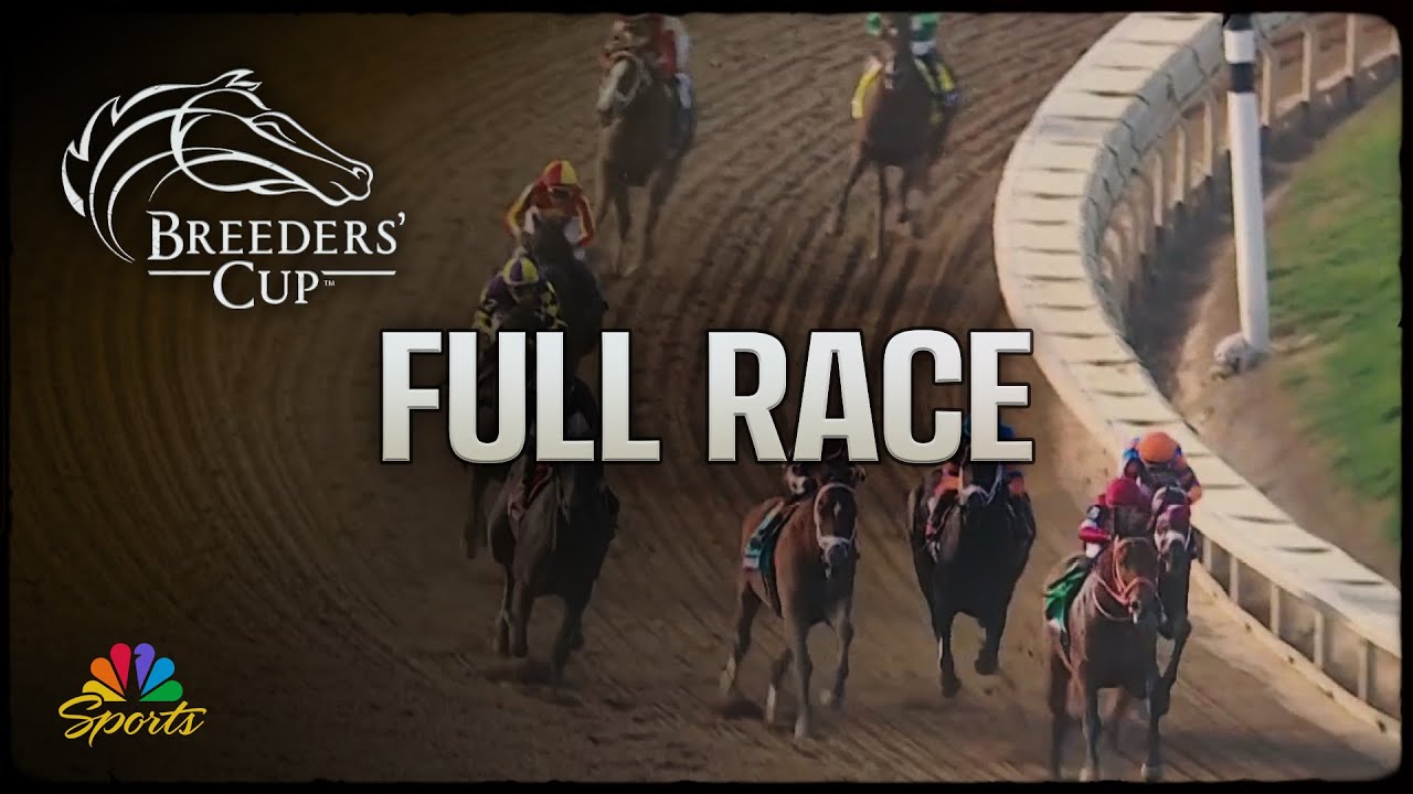 Breeders’ Cup 2025: Classic - Total Horse Channel | Equestrian TV