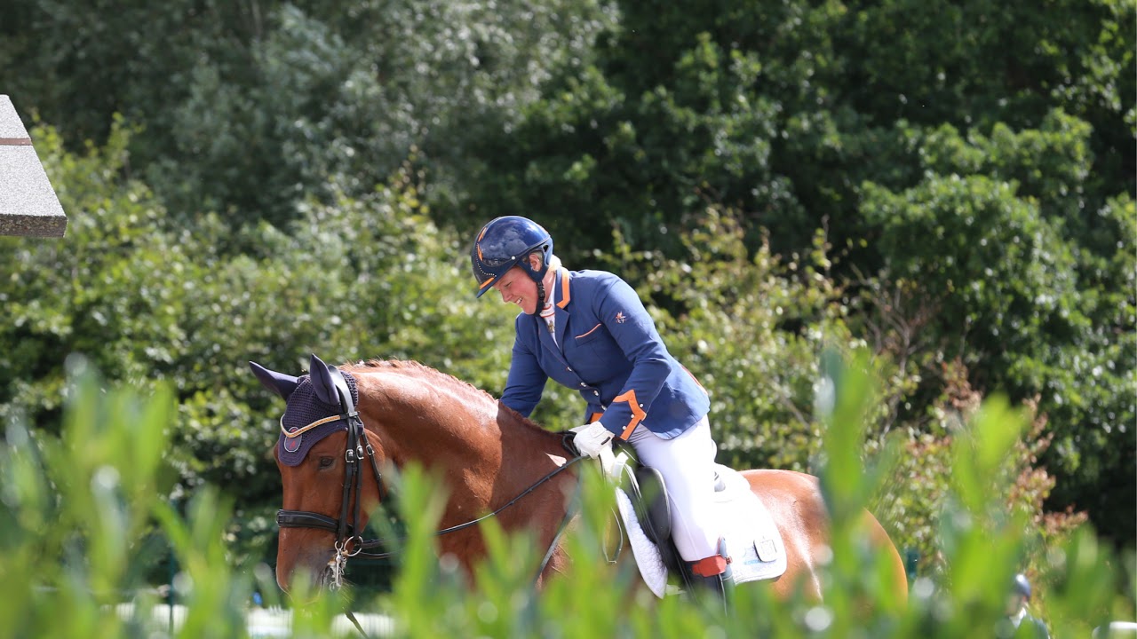 British Dressage AGM | LIVE - Total Horse Channel | Equestrian TV