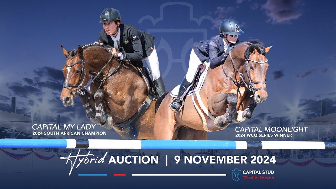 Capital Stud Hybrid Auction November 2024 - Total Horse Channel ...