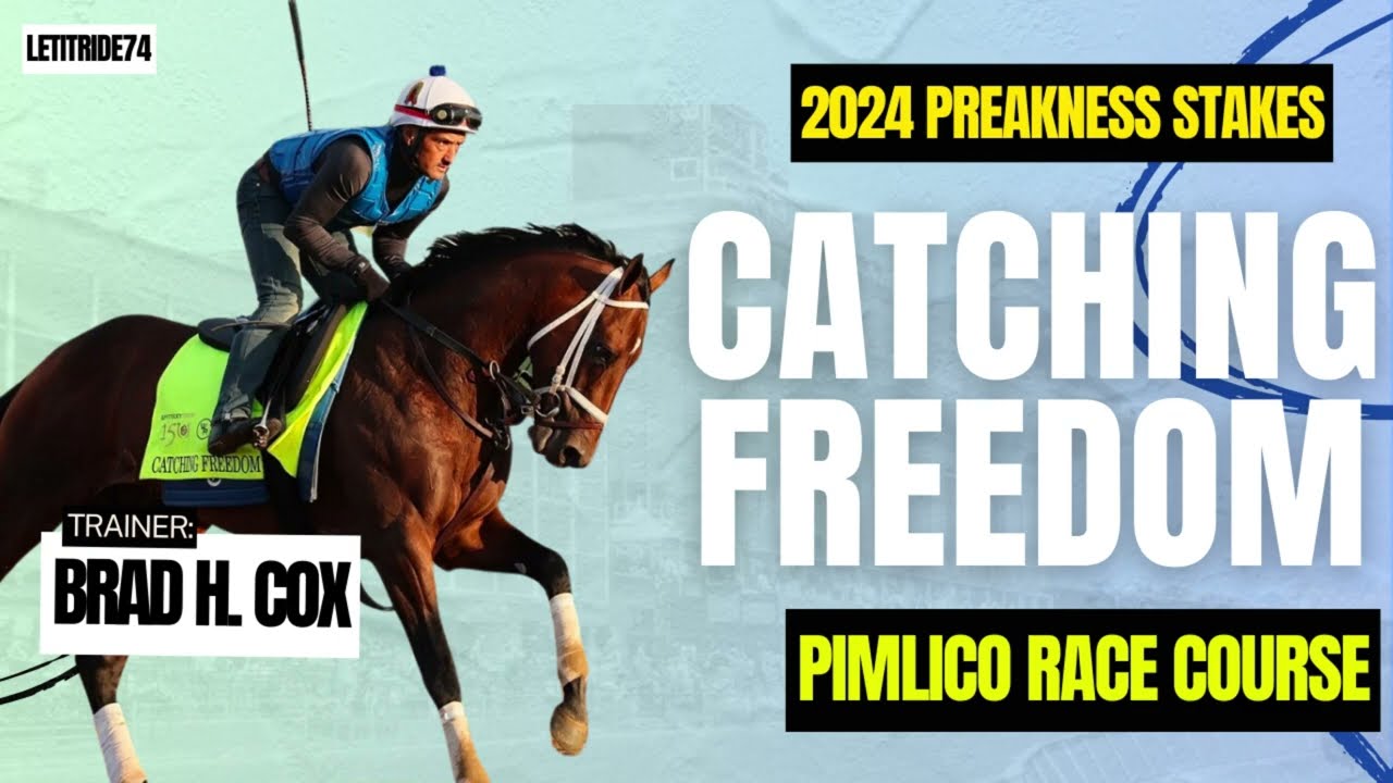 Catching Freedom | 2024 Preakness Stakes Preview - Total Horse Channel ...