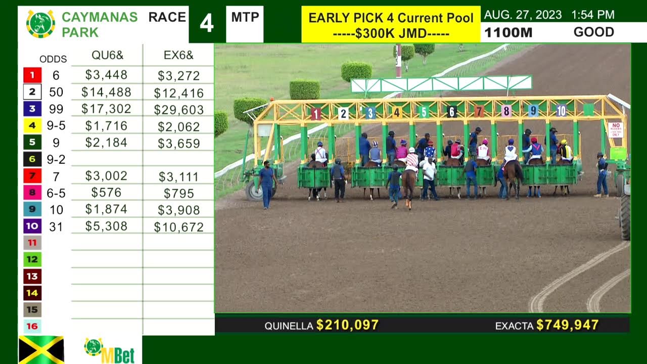 Caymanas Park | August 27th, 2023 - Total Horse Channel | Equestrian TV