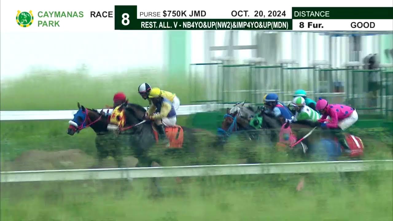 Caymanas Park Live Race