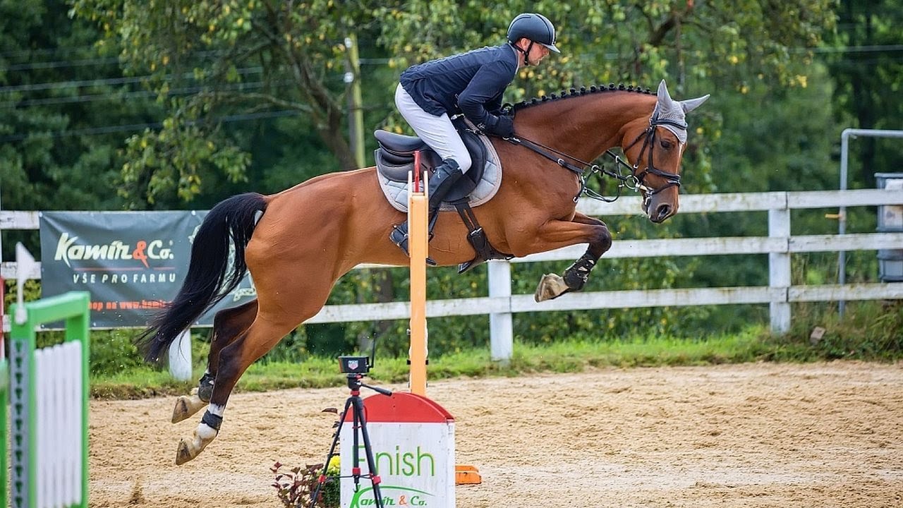 CCI Borová (CZE) – Bohemia Eventing Tour - Total Horse Channel ...