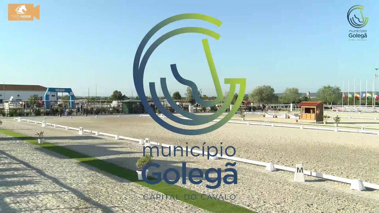 CDI 3* GOLEGÃ – DRESSAGE – GRAN PRIX – 26/04/2025 – Total Horse Channel ...