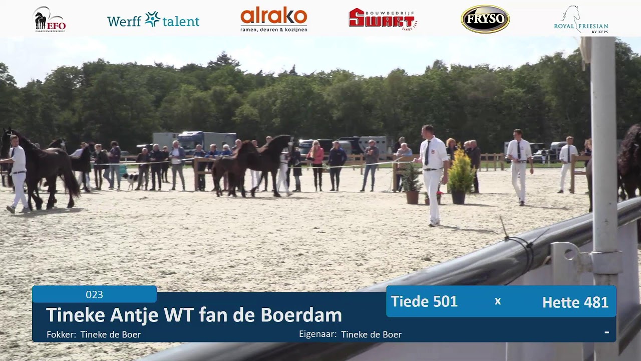 Central inspection 2022 | Friday 16 September - Total Horse Channel ...