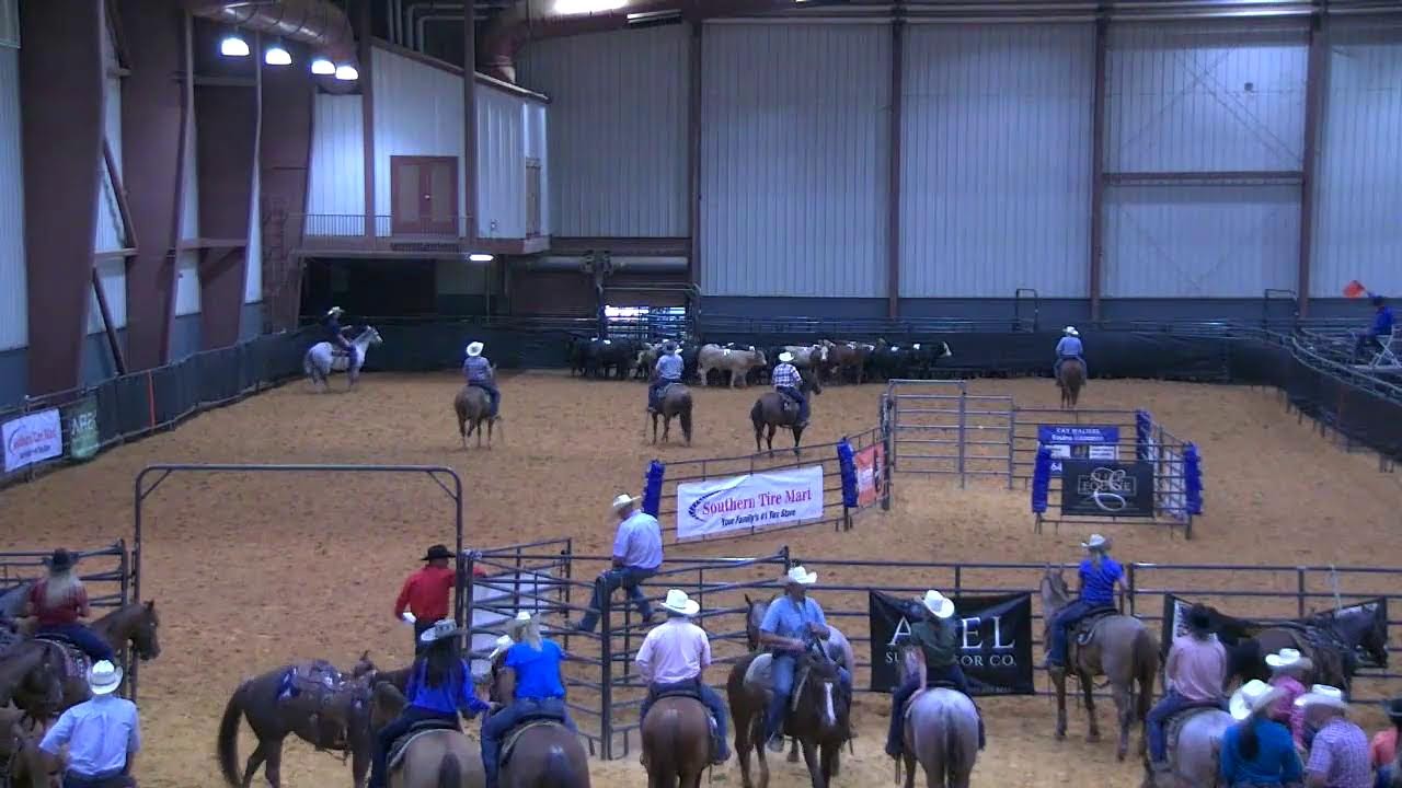 Ch1 Raeco Builders #10 Elite Team Penning Finals | July 27th, 2023 ...