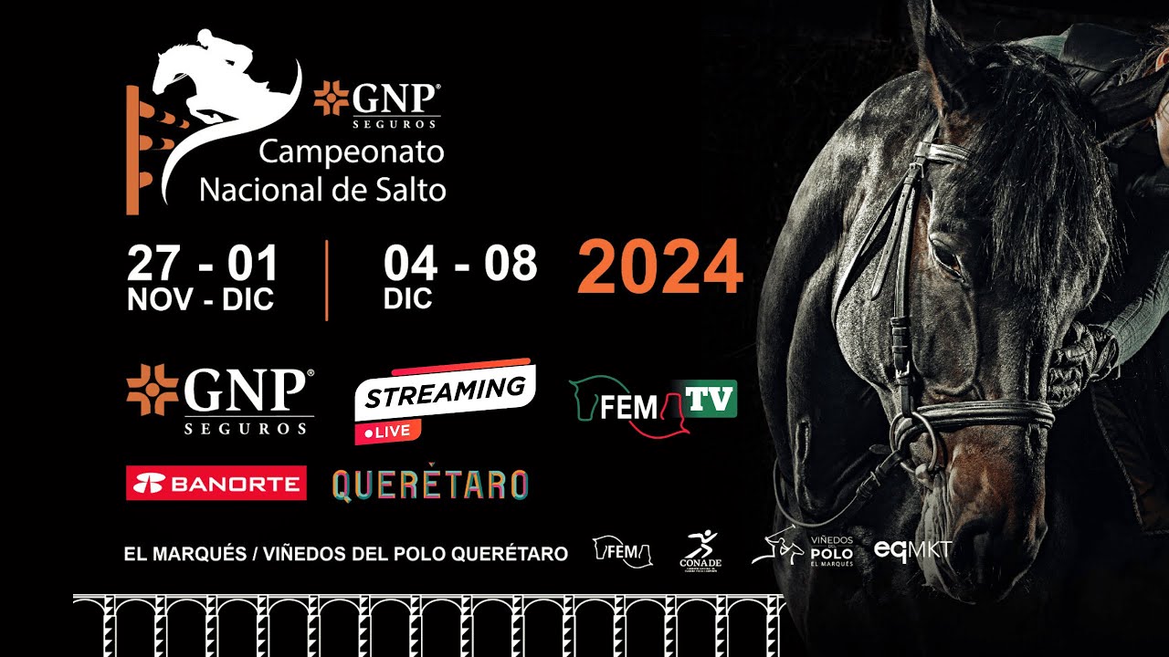 CNS 2024 Pista 2 (Prueba 124 – INTERMEDIA B 1° CAL) - Total Horse Channel | Equestrian TV