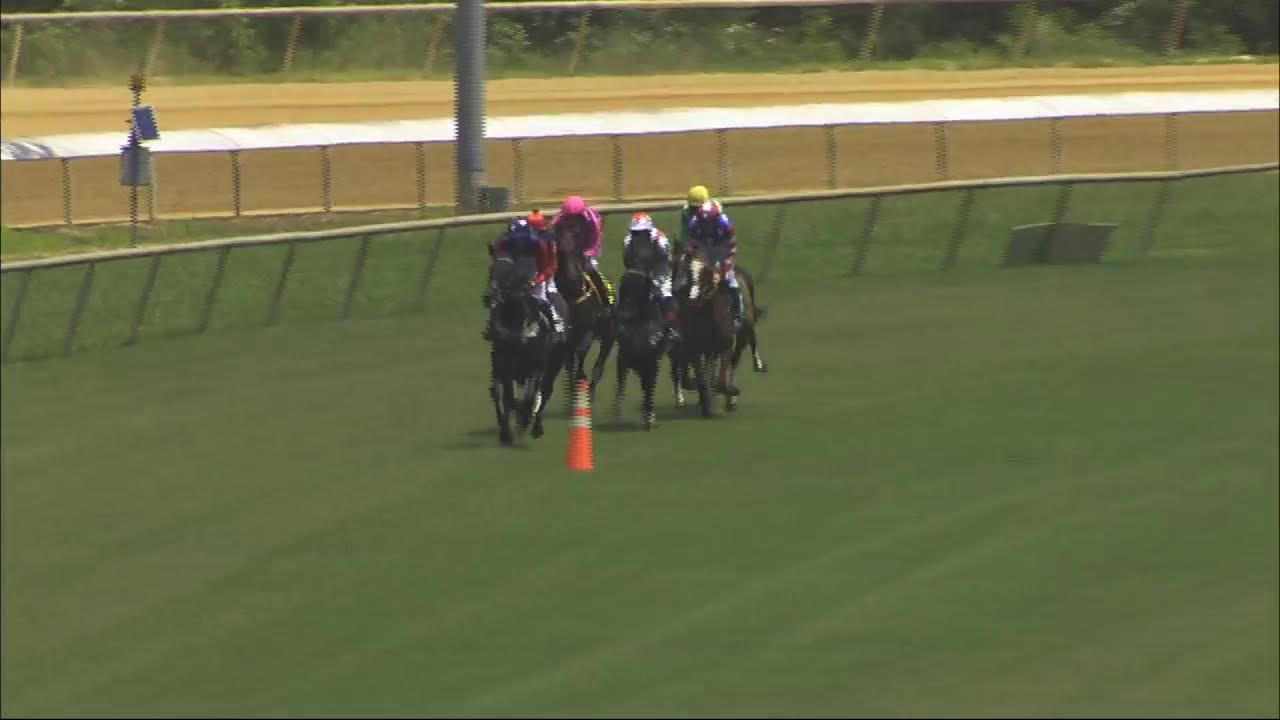 Colonial Downs Steeplechase Races | July 14th, 2023 - Total Horse ...