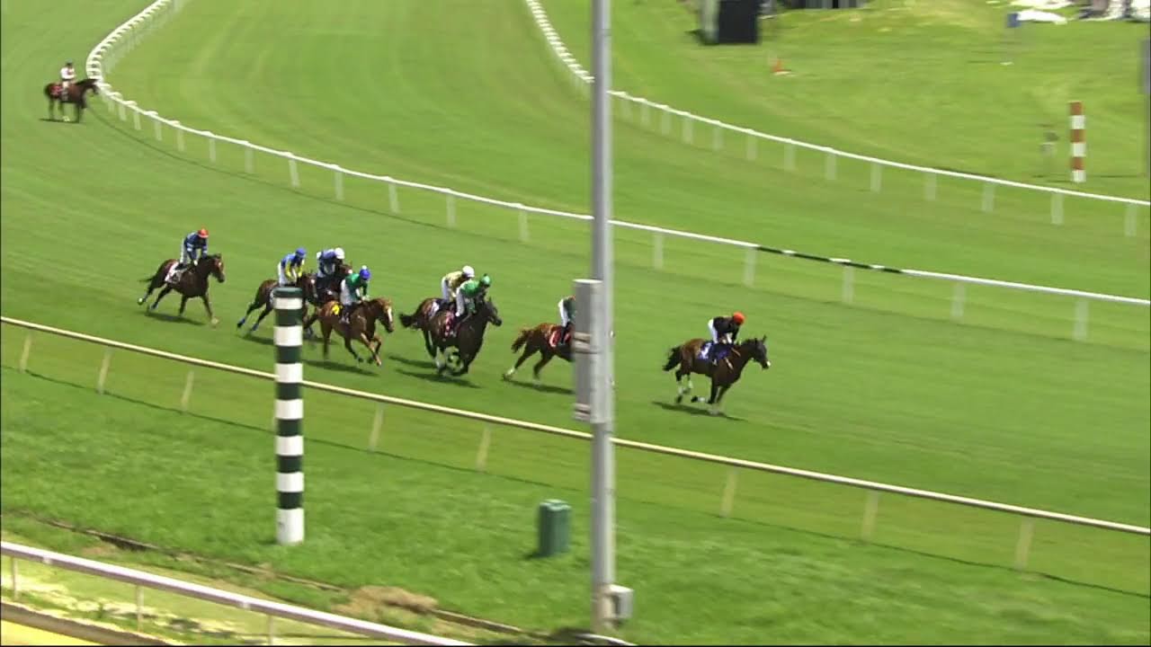 Colonial Downs Steeplechase Races | July 21st, 2023 - Total Horse ...