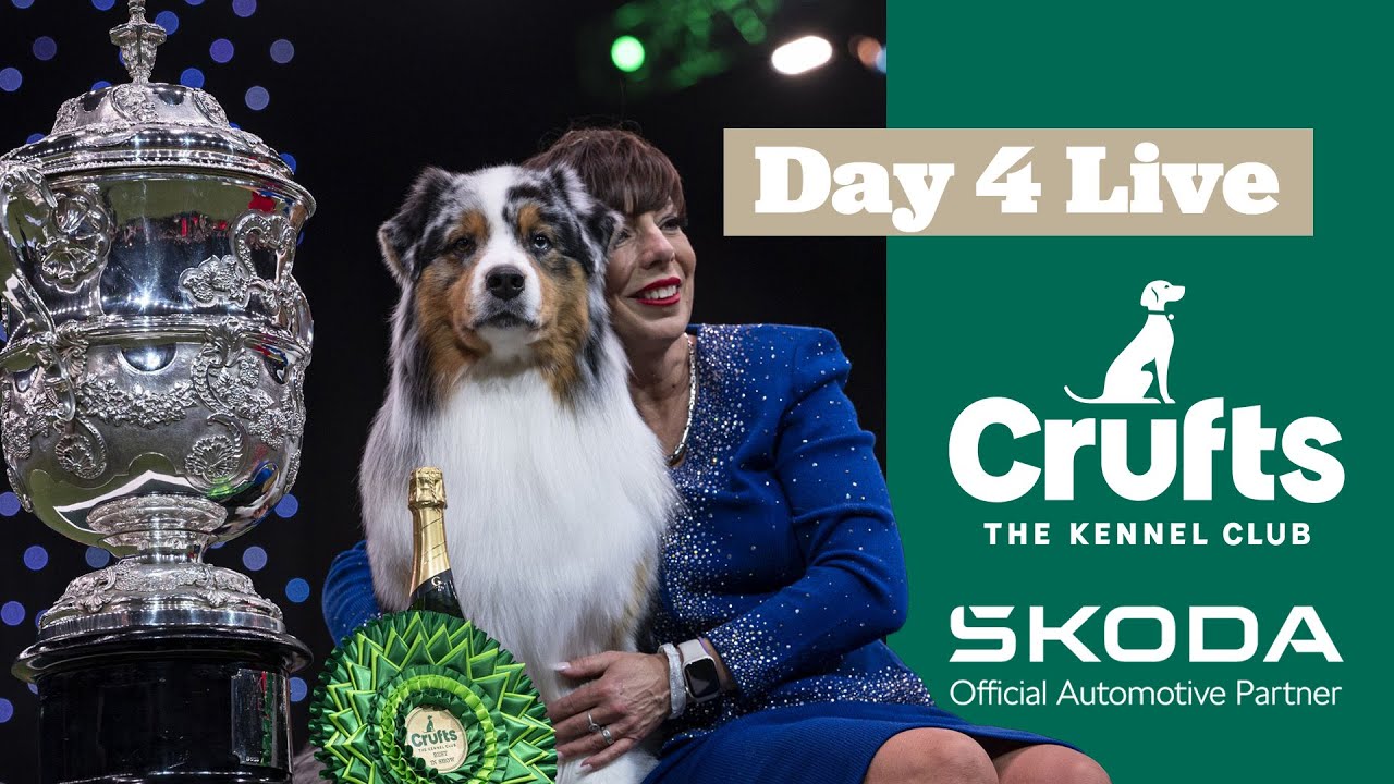 Crufts 2025 | Day 4 - Total Horse Channel | Equestrian TV