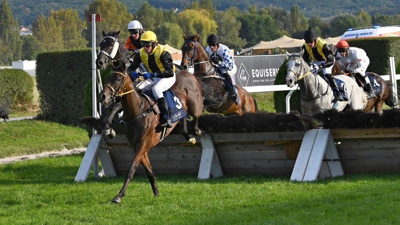 dostihy Chuchle Arena Praha – 10. 9. 2023 - Total Horse Channel ...