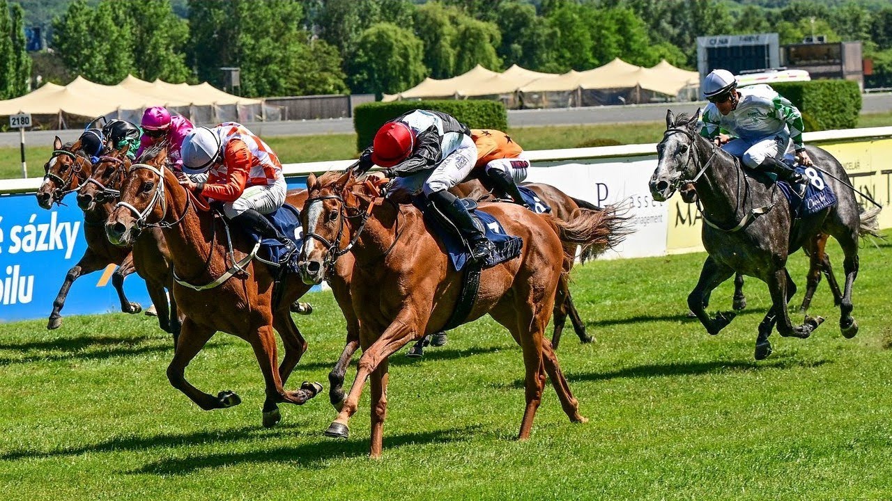 dostihy Chuchle Arena Praha – 17. 9. 2023 - Total Horse Channel ...