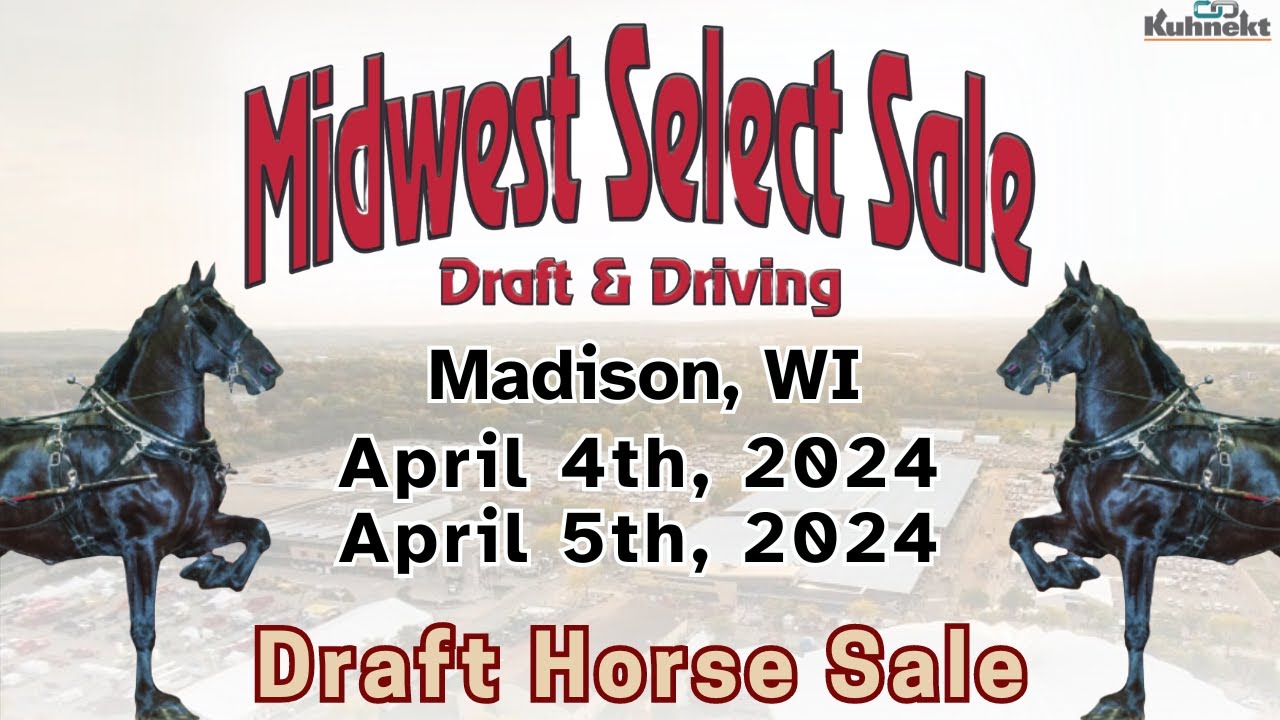 Draft Horse Sale | 2024 Midwest Select Draft & Driving Horse Sale ...