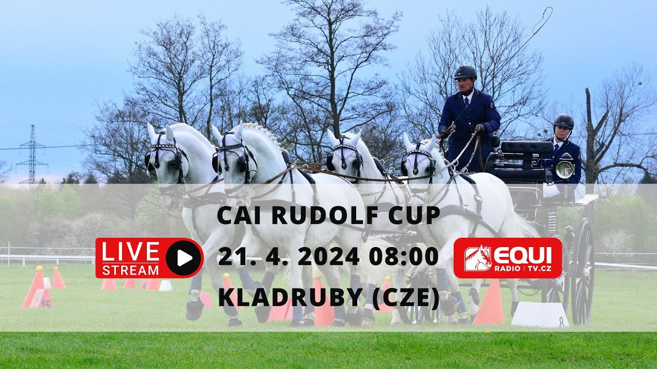 🔴 Driving – 5th day: cones CAI Kladruby (CZE) Rudolf Cup, 21. 4. 2024 ...