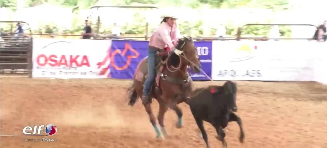 V COPA NACIONAL DE RODEO | LIVE - Total Horse Channel | Equestrian TV