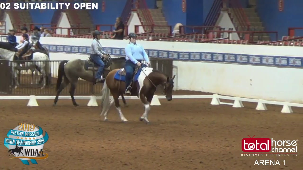 WDAA | October 2nd, 2019 Replay | Morning Session - Total Horse Channel ...