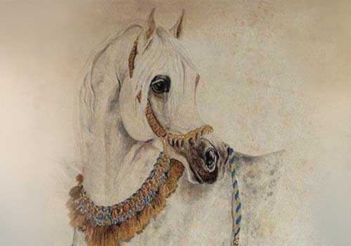 Arabian Israel Spring Show | LIVE - Total Horse Channel | Equestrian TV