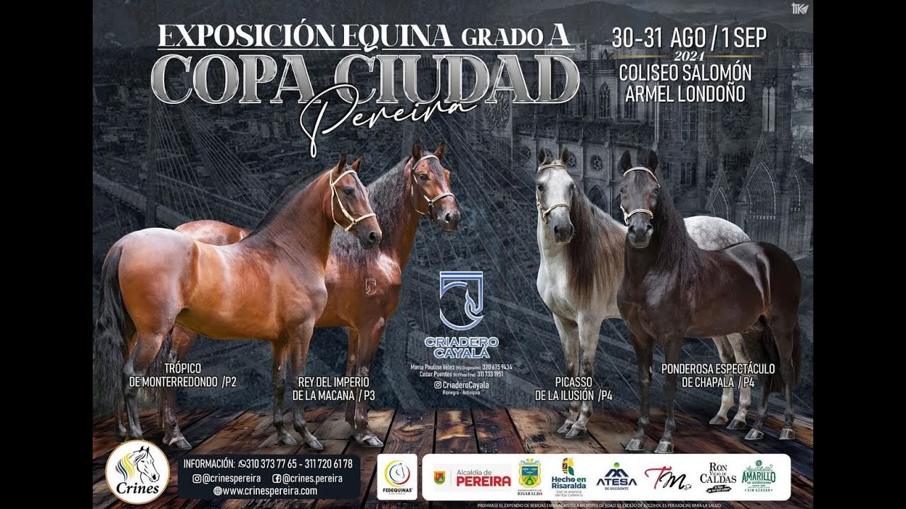 EXPOSICIÒN EQUINA GRADO “A” COPA CIUDAD PEREIRA 2024 DIA 2 – ASNALES Y ...