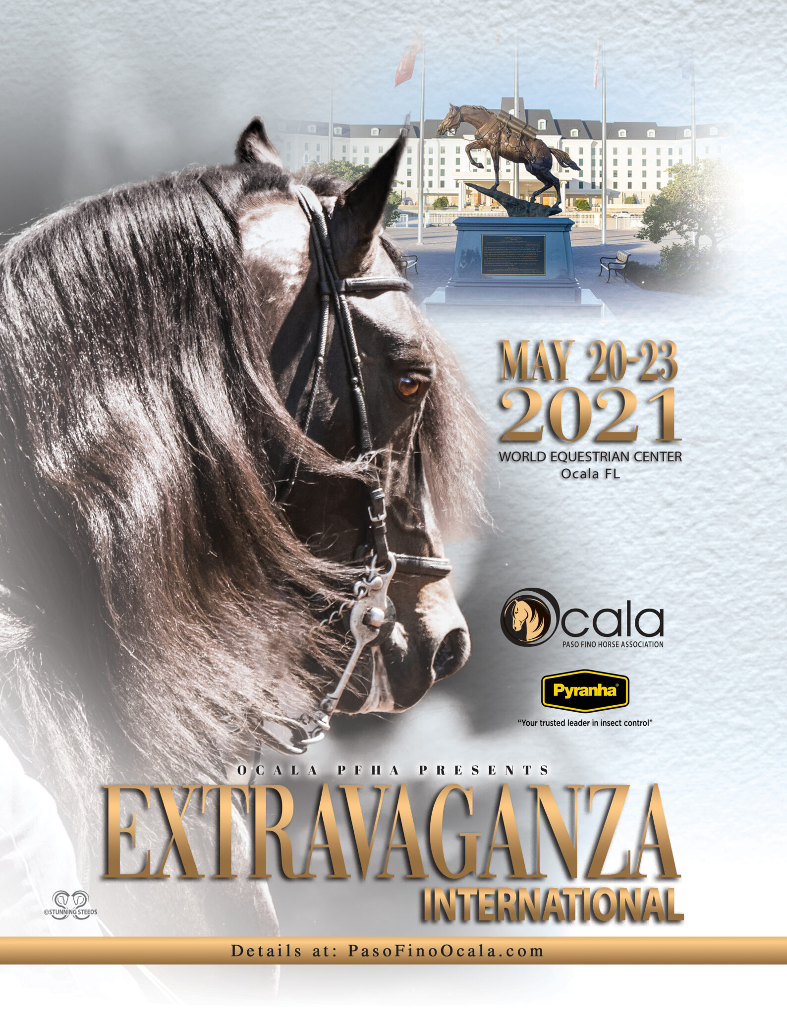 EXTRAVAGANZA INTERNATIONAL | LIVE - Total Horse Channel | Equestrian TV