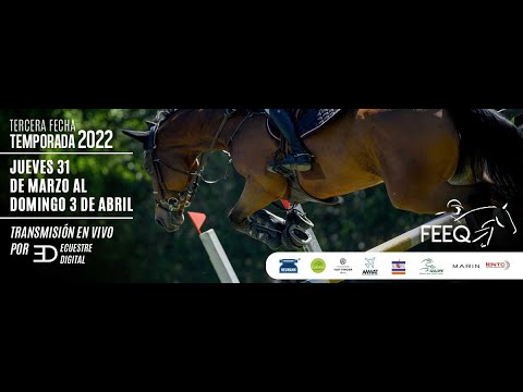 FEEQ 3RD Season | LIVE - Total Horse Channel | Equestrian TV