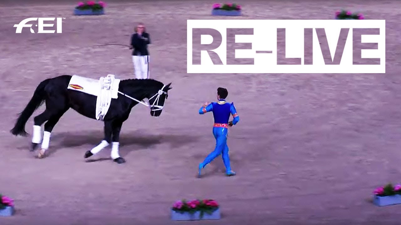 FEI Top Indoors Vaulting Masters | LIVE - Total Horse Channel ...