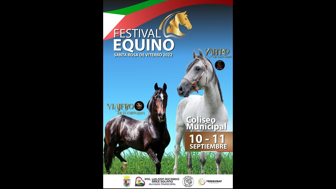 Festival Equino Santa Rosa de Viterbo - Total Horse Channel | Equestrian TV