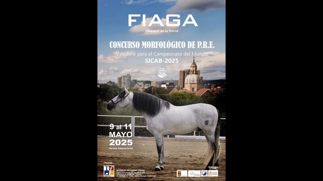 FIAGA (CONCURSO MORFOLÓGICO TALAVERA DE LA REINA 2025) – Total Horse ...