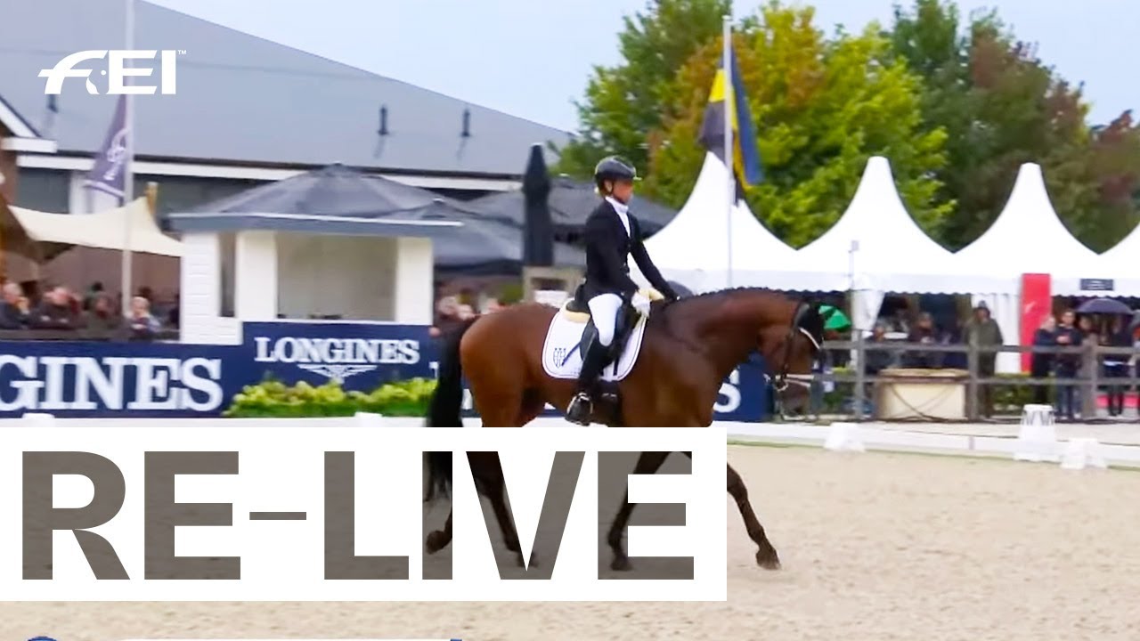 Final 5yo horses I FEI WBFSH Dressage World Breeding Championship for ...