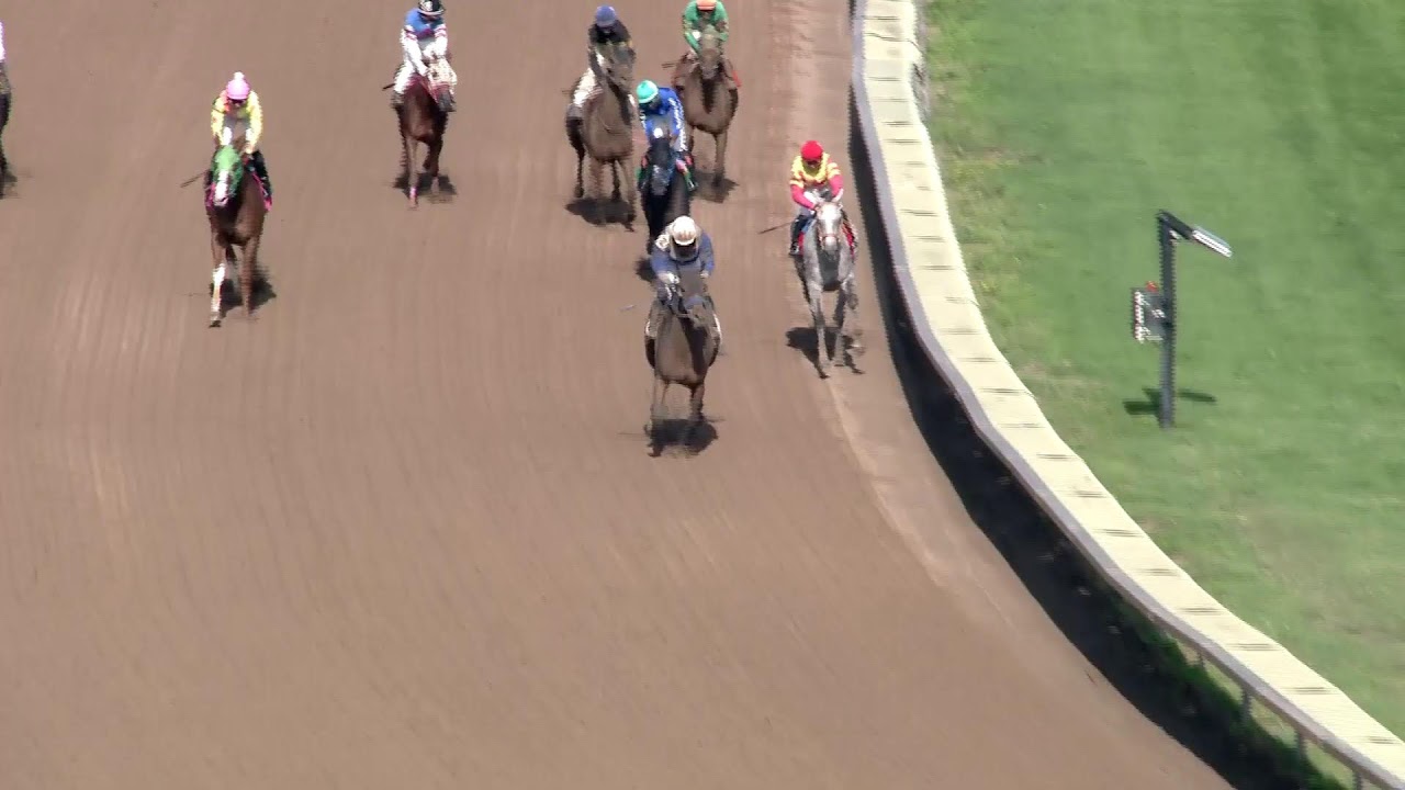 Finger Lakes Racing | August 21st, 2024 - Total Horse Channel ...
