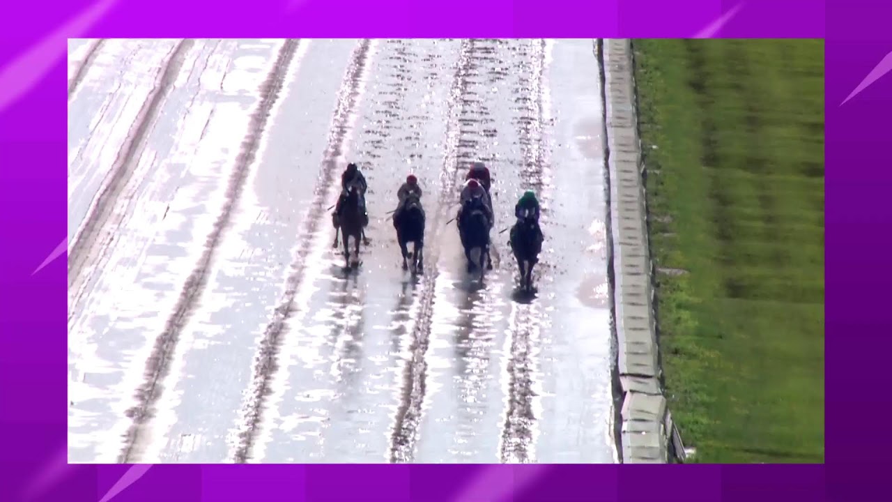 Finger Lakes Racing | July 16th, 2024 - Total Horse Channel | Equestrian TV