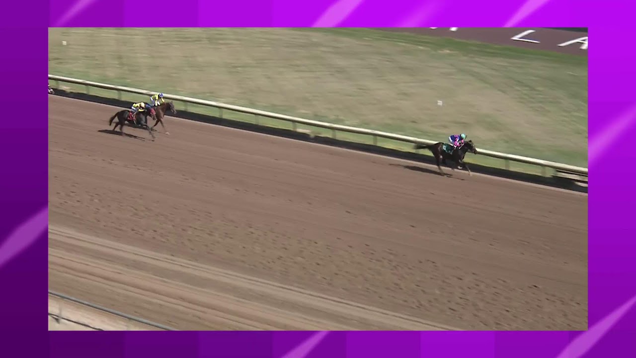 Finger Lakes Racing – July 23rd, 2025 - Total Horse Channel | Equestrian TV